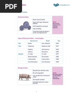 ASE Guidelines for Chamber Quantification | PDF | Ventricle (Heart ...