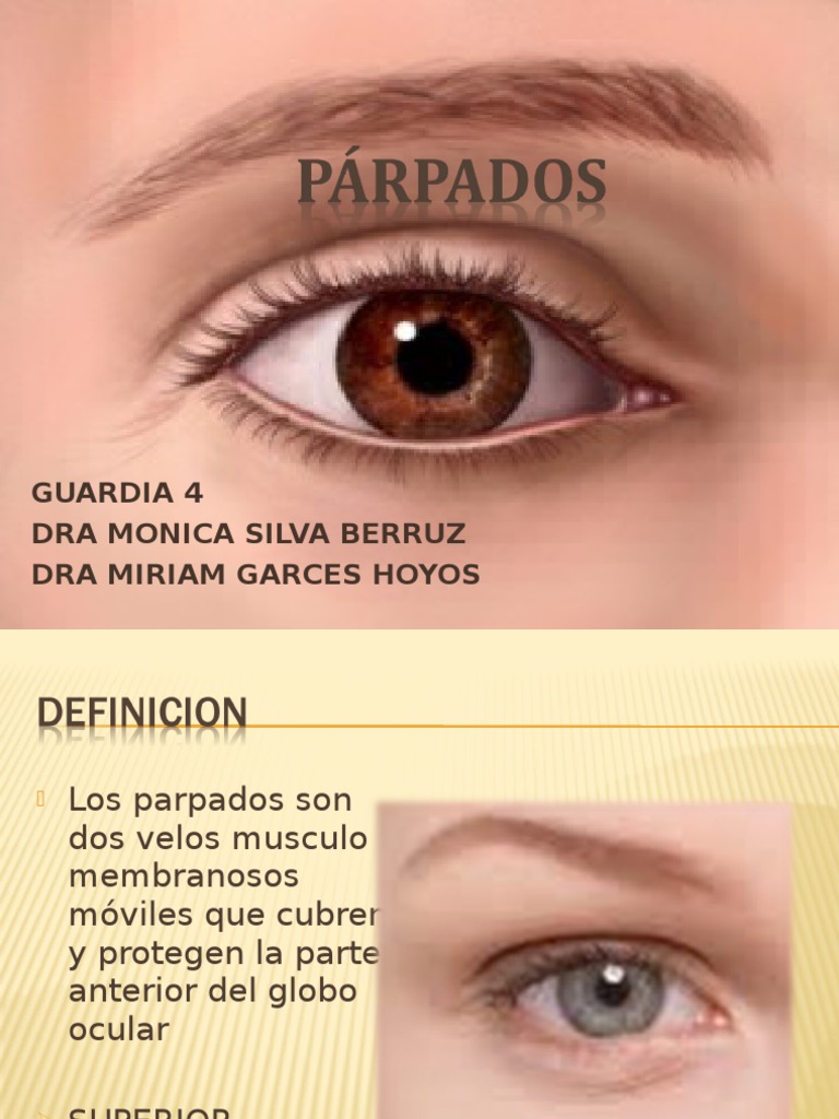 PARPADOS-EXPO Pps | PDF | Ojo | Anatomía humana