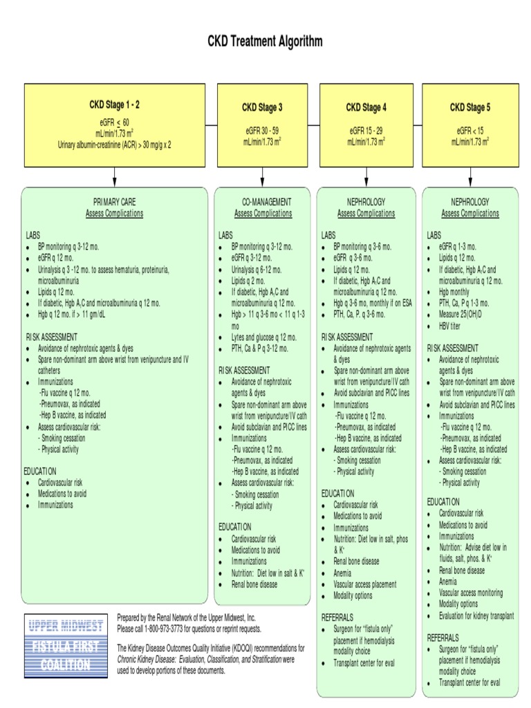 Ckd Treatment Algorithm | Chronic Kidney Disease | Hemodialysis