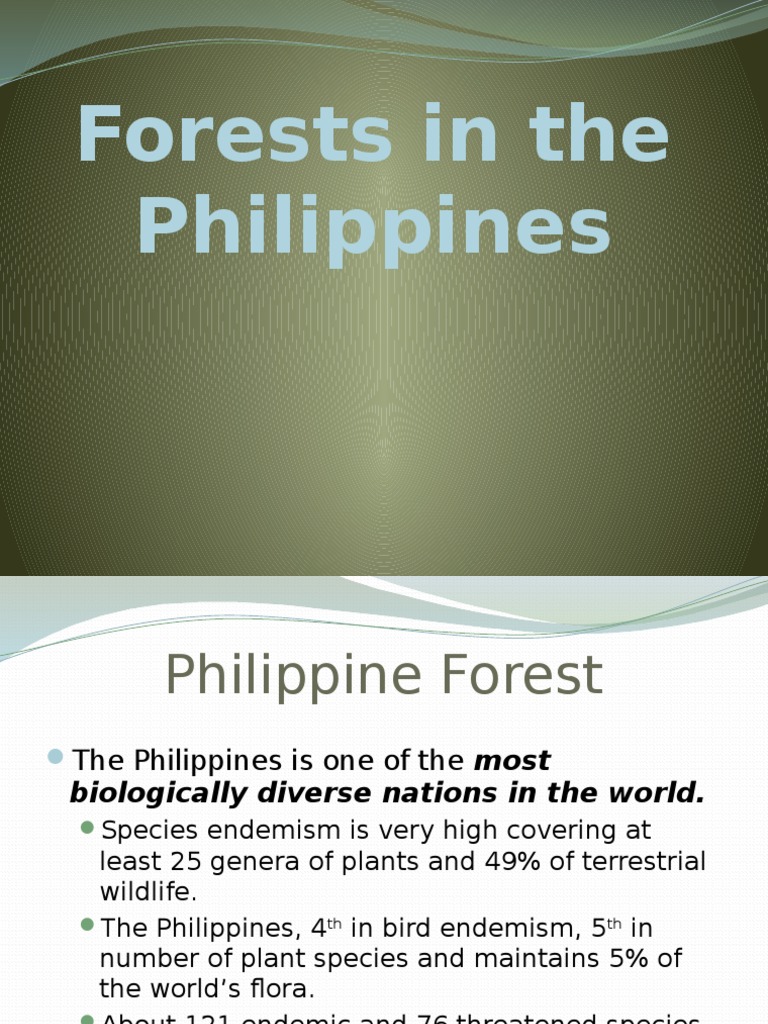 Philippine Forests | PDF | Forests | Deforestation