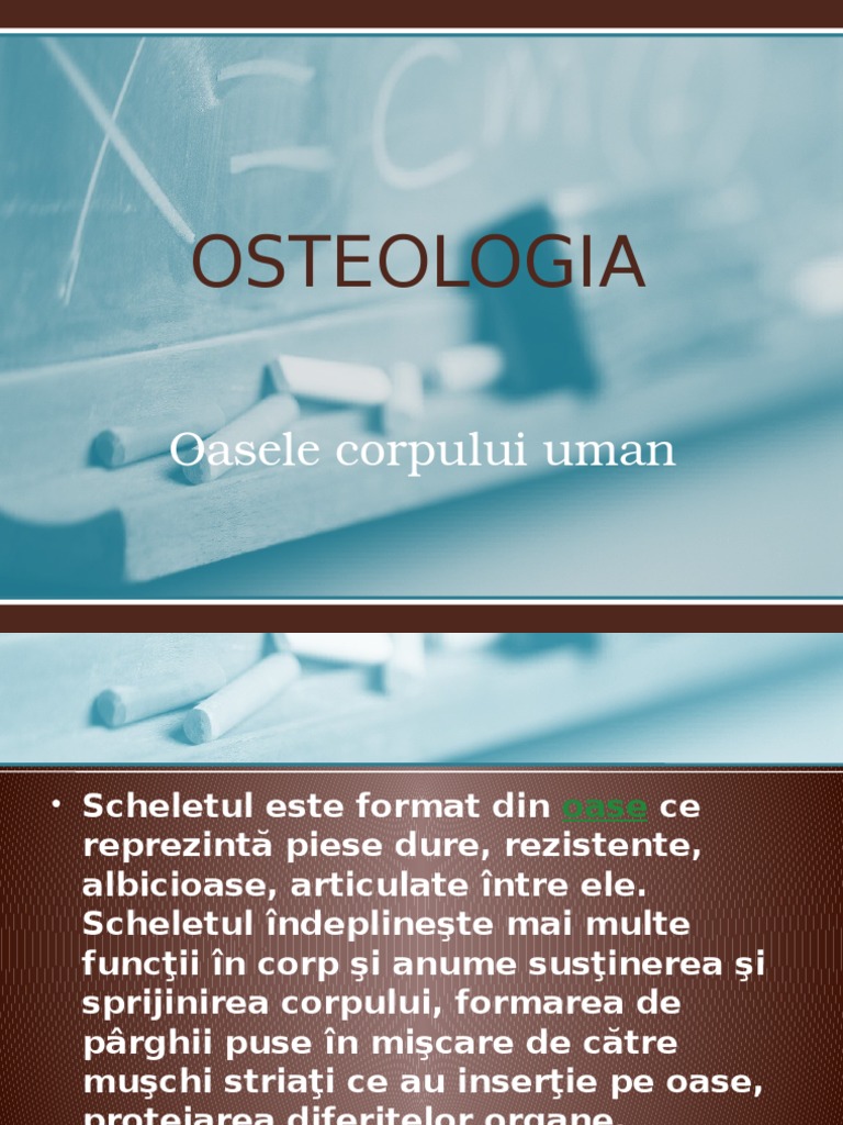 Oasele Corpului Uman - Osteologie Curs 2 | PDF