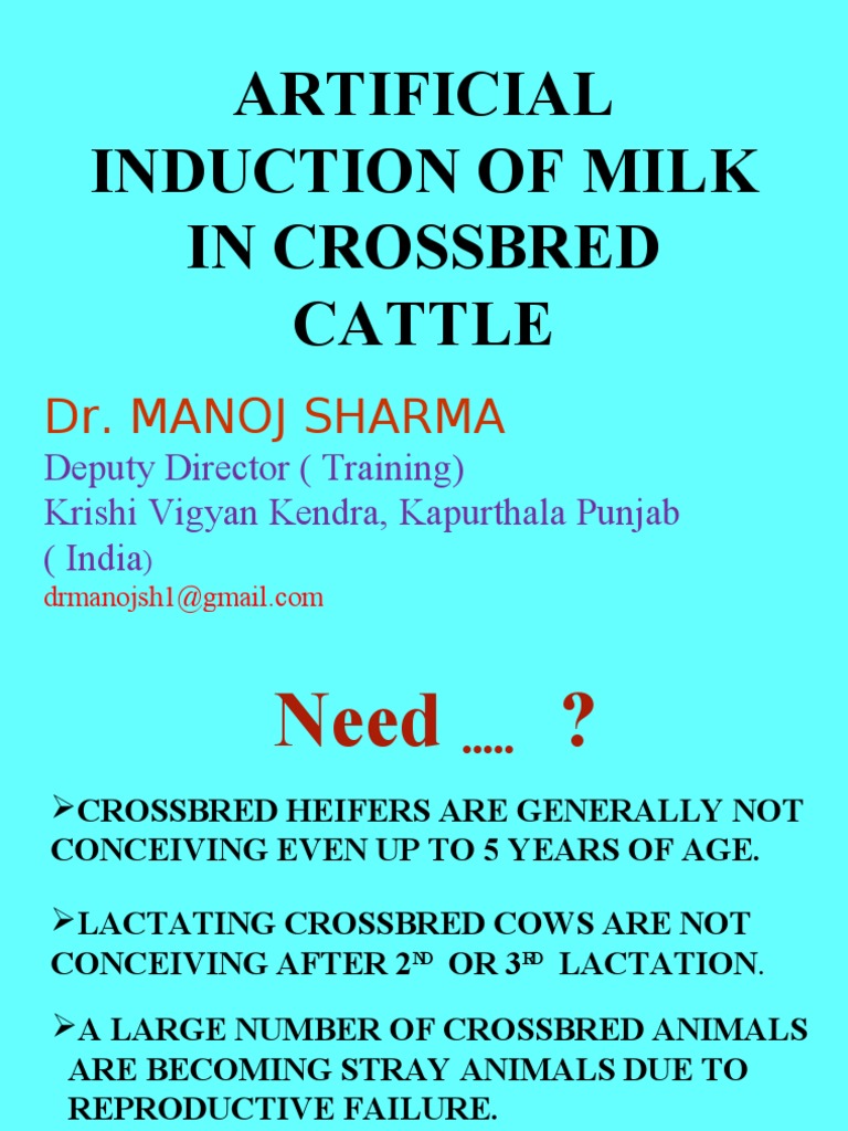 Induction of Lactation in Crossbred Cattle | PDF | Cattle | Dairy