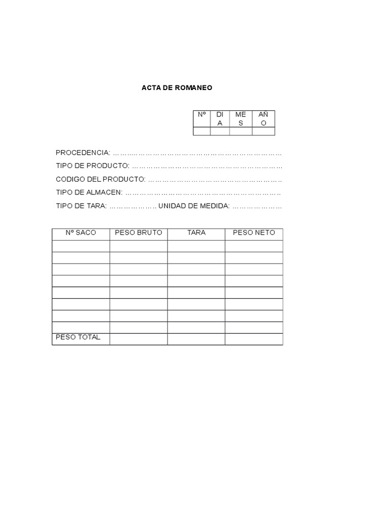 Acta de Romaneo y Plan de Trabajo | PDF