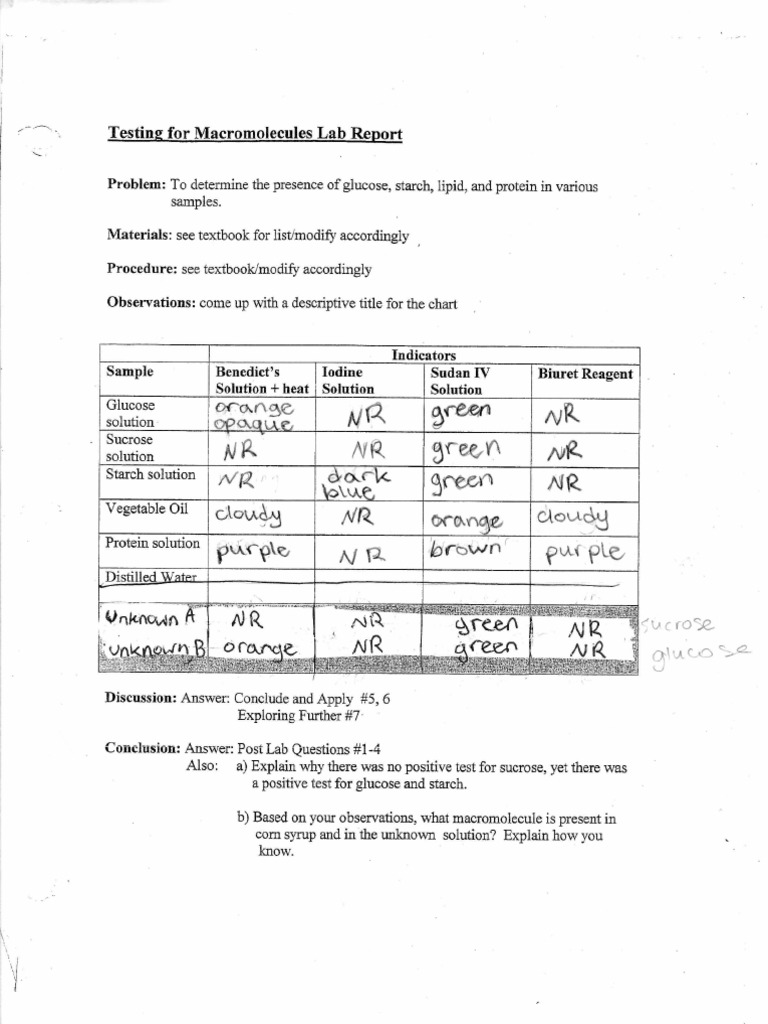 Lab Sheet | PDF