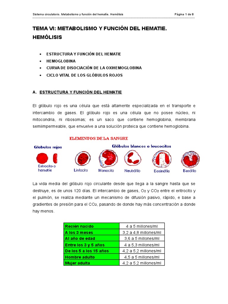 Tema Vi. Metabolismo y Función Del Hematíe. Hemólisis | PDF | Glóbulo ...