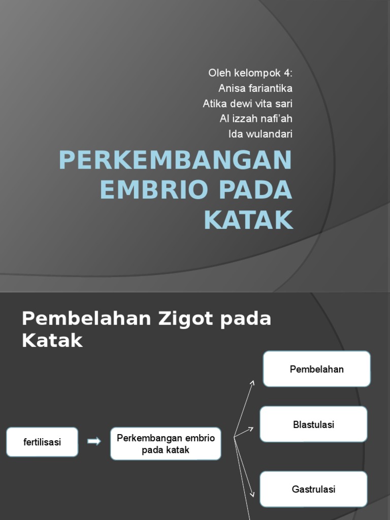 Perkembangan Embrio Pada Katak | PDF