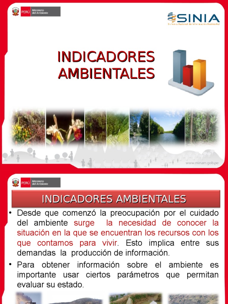 Indicadores Ambientales | PDF | Información | Estadísticas
