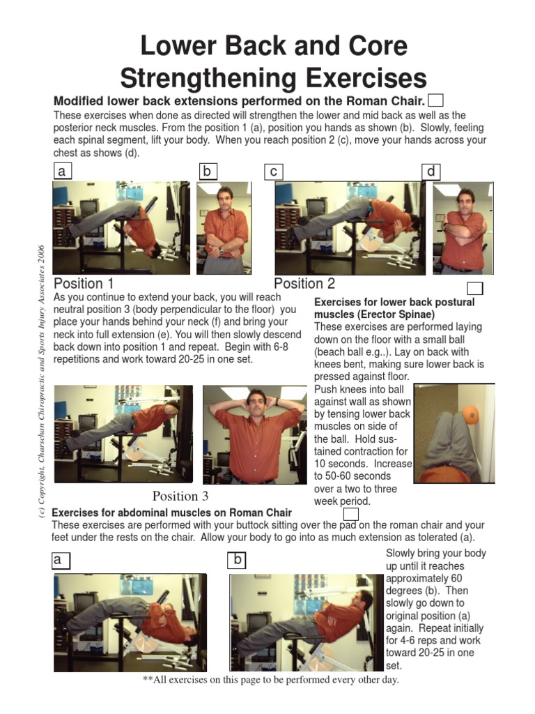 Lower Back and Core Strengthening Exercises: A B C D | PDF | Anatomical ...