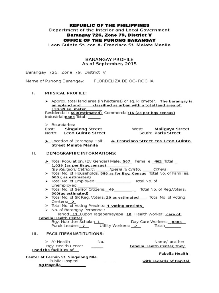 Barangay Profile | PDF