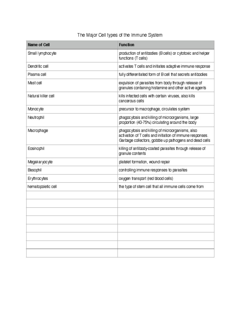 Key Immune System Cell Types Explained | PDF