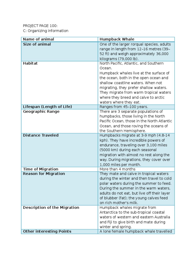 Humpback Whale Migration Facts | PDF | Social Science