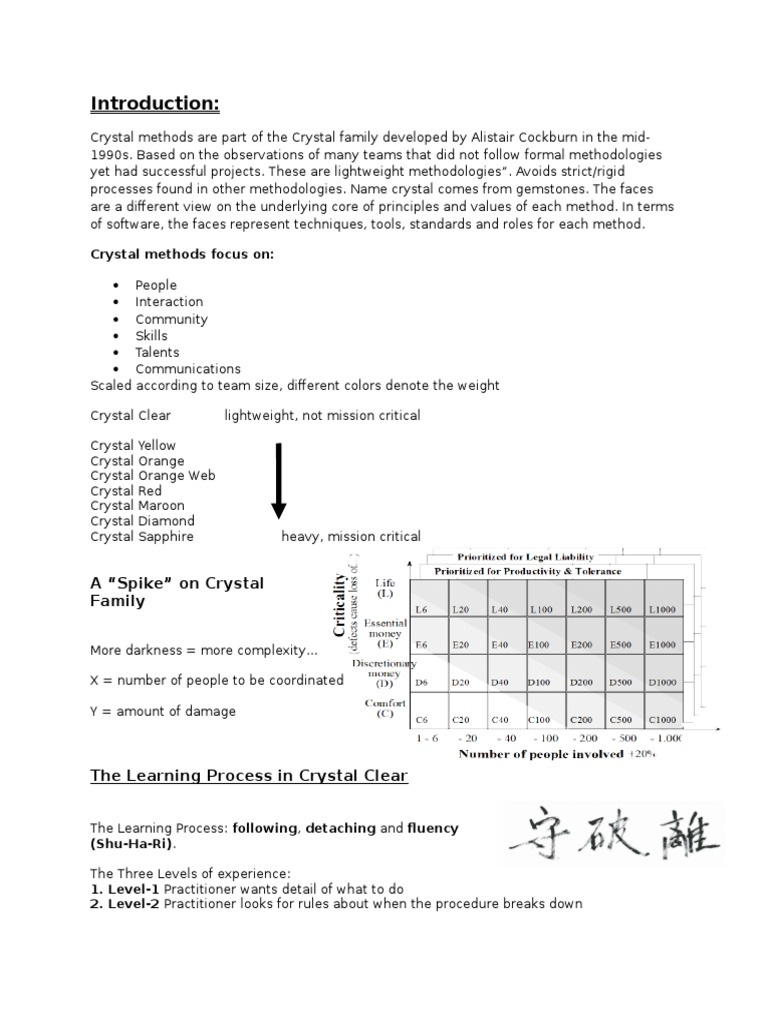 Crystal Methods Focus On | PDF | Software Development Process | Expert