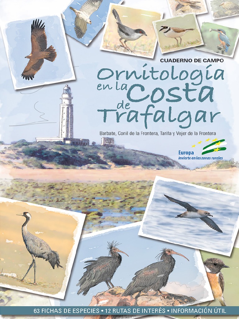 Cuaderno de Campo Ornitologia | PDF | Aves | Migración de aves