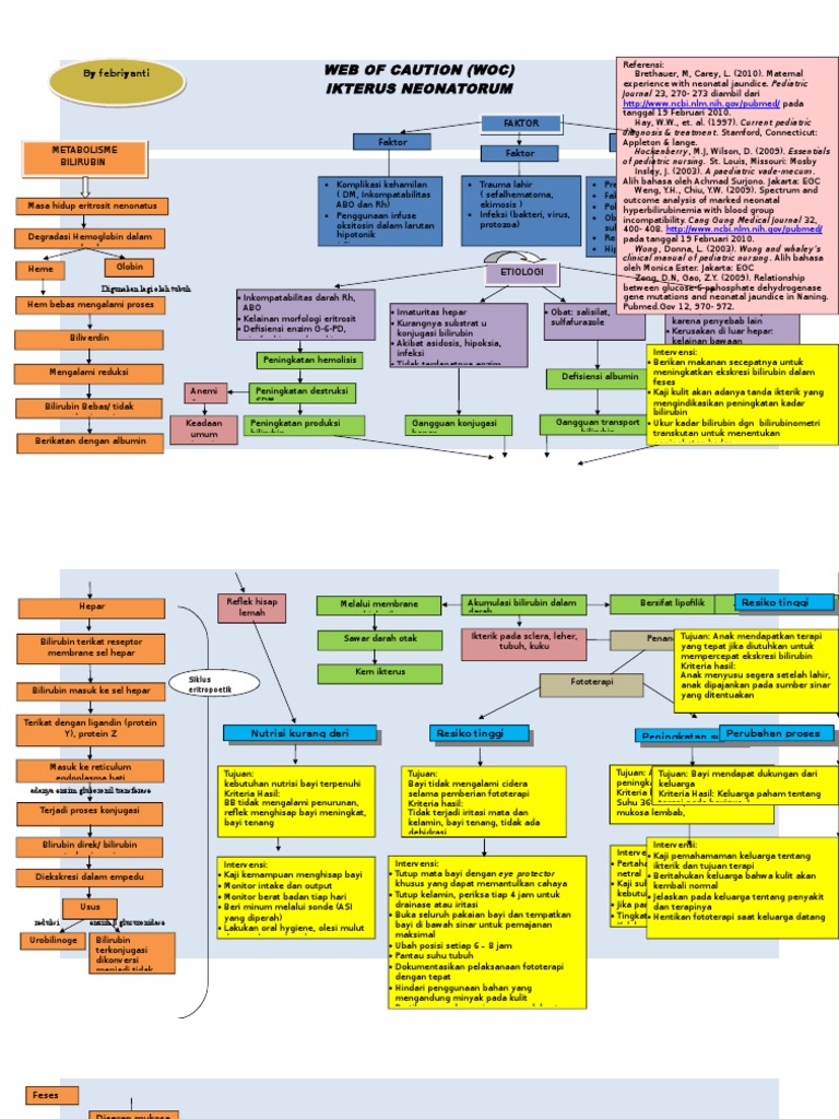 WOC Icterus Neonatorum | PDF