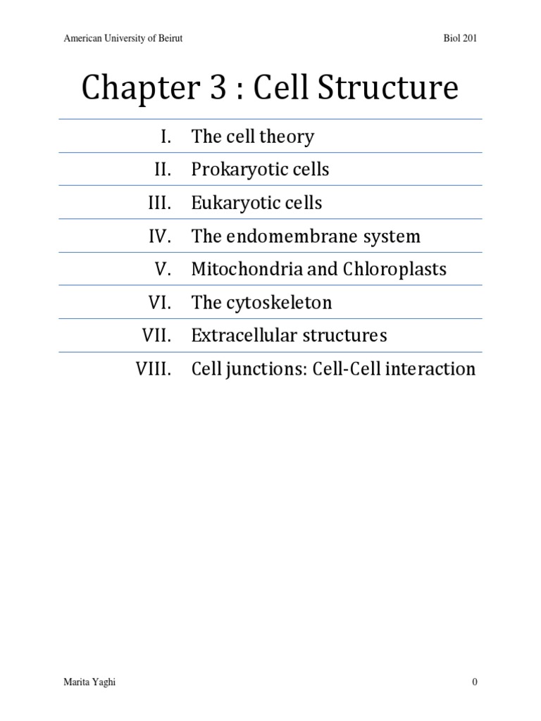 Cell Structure | PDF | Cell Nucleus | Cell (Biology)