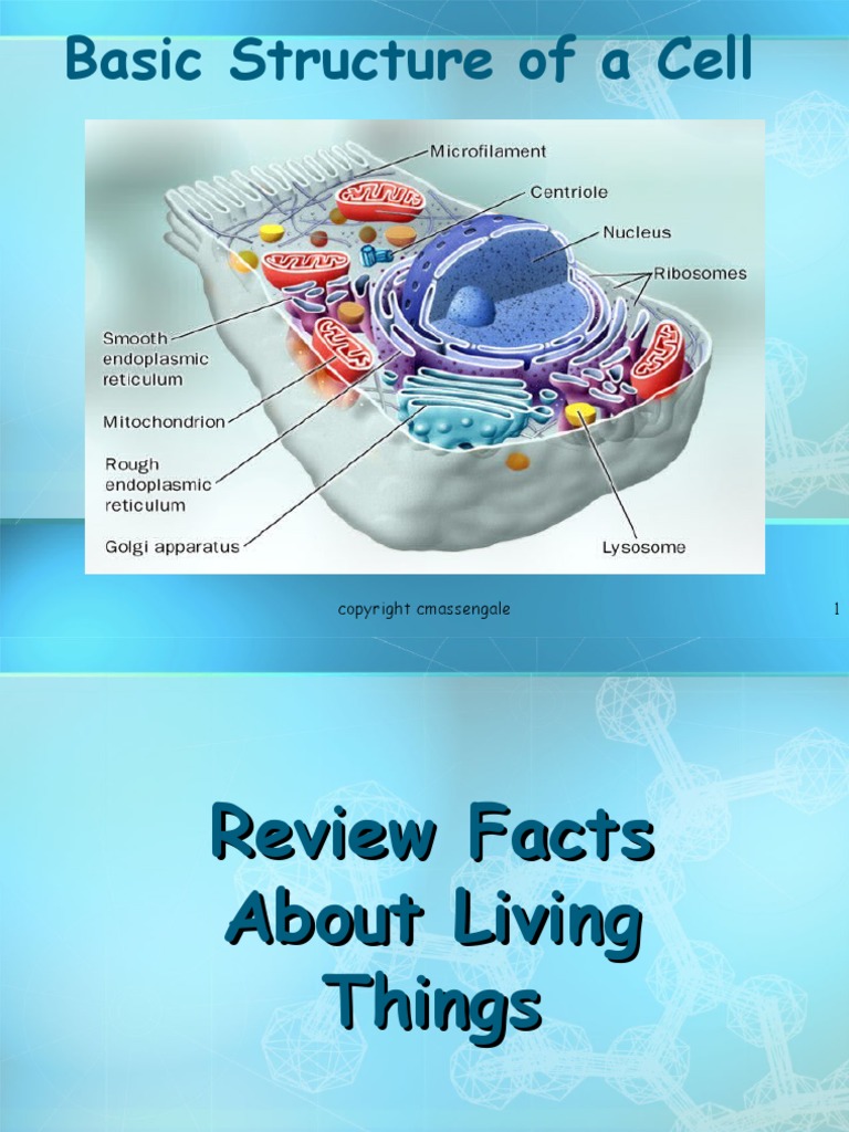 Levels of Organization and Cell Theory | PDF | Cell (Biology) | Organisms