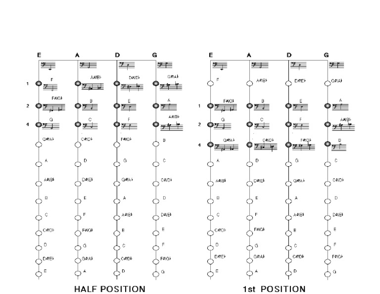 Double Bass Fingering Chart | PDF