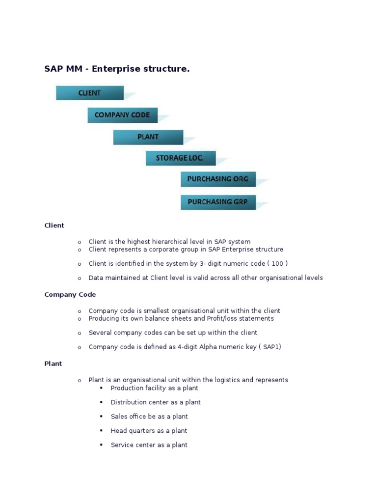 SAP MM - Enterprise Structure.: Client | PDF