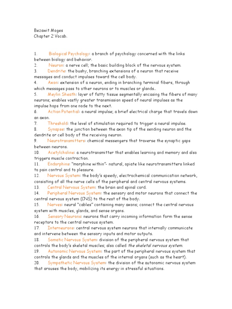 Bezawit Moges Chapter 2 Vocab. | PDF | Nervous System | Neuron