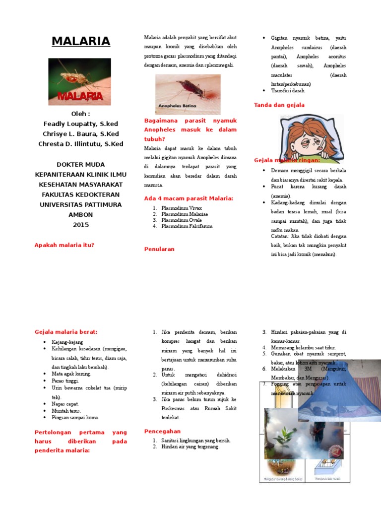 Leaflet Malaria (New) | PDF