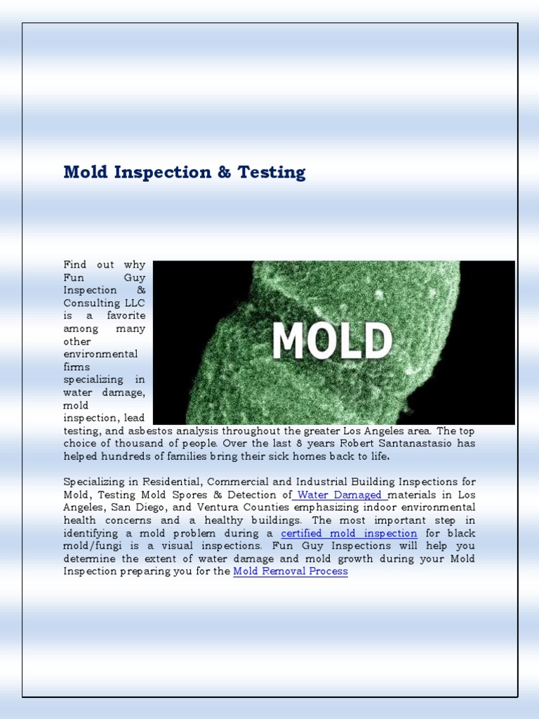 Mold Inspection Los Angeles | PDF | Mold | Fungus