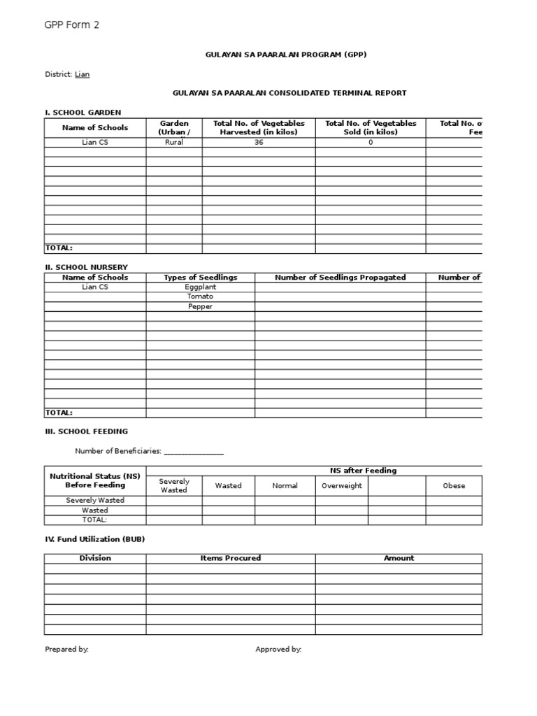 GPP Form 2 Consolidated Report | PDF