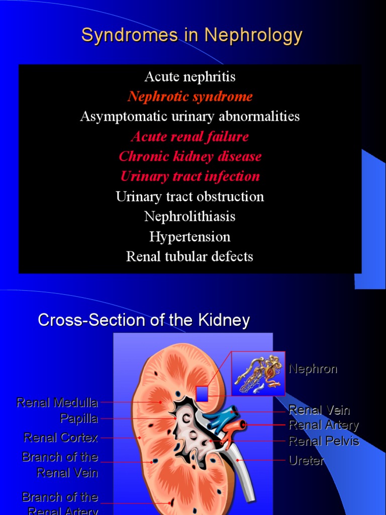 Nephrotic Syndrome | Kidney | Urinary System