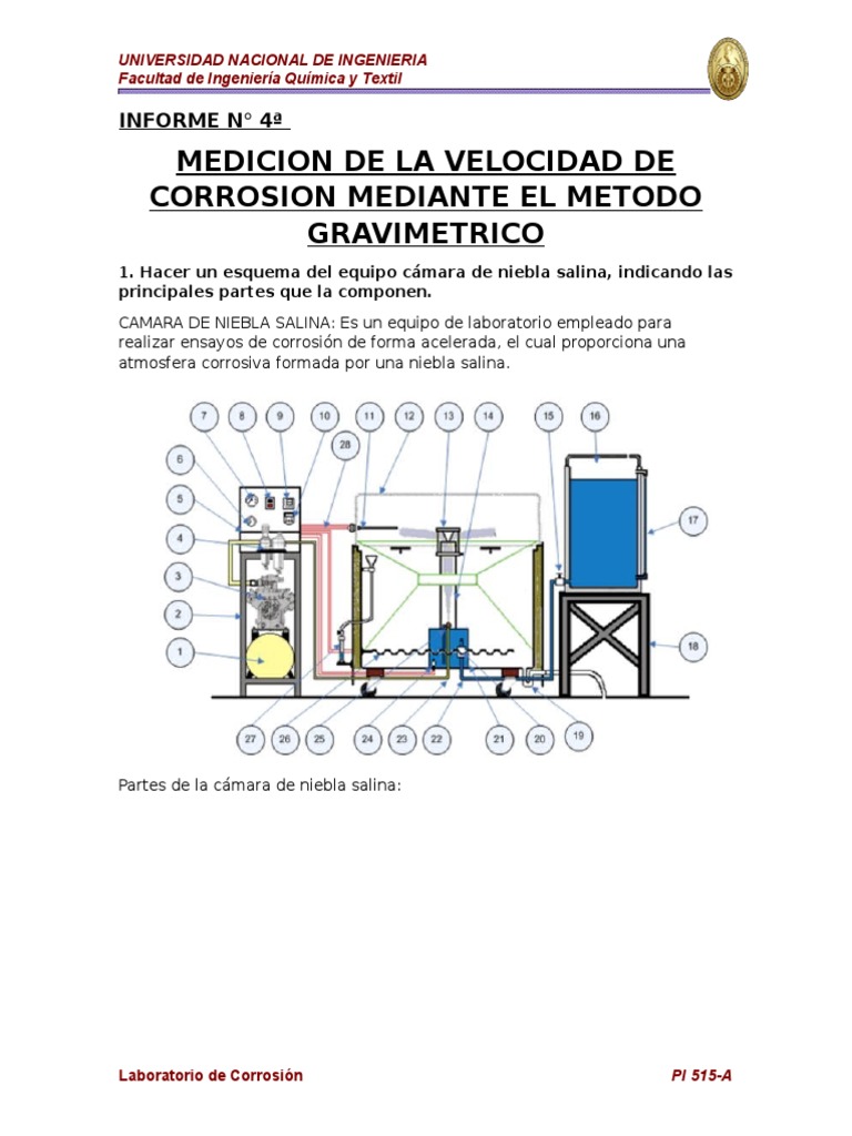 Metodo Gravimetrico p1 | PDF | Corrosión | Pintar