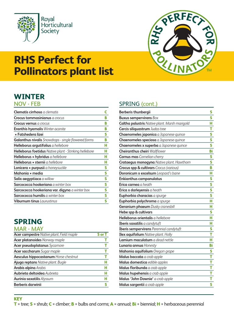 Rhs Perfect For Pollinators Plant List: Winter | PDF