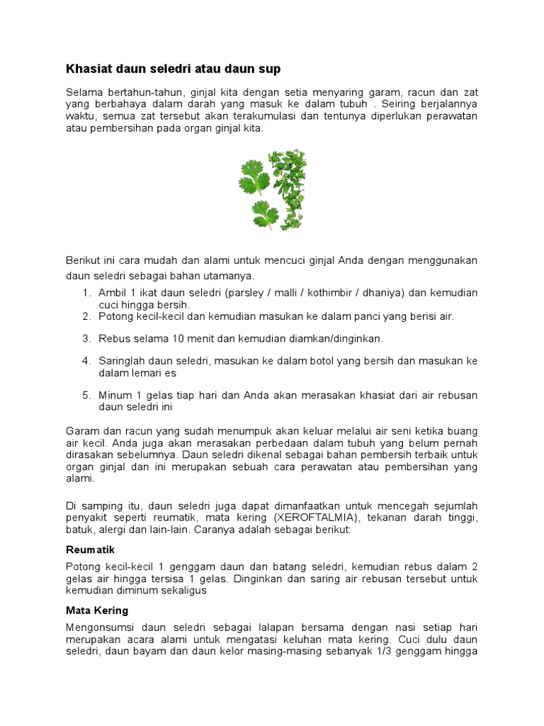 Khasiat Daun Seledri Atau Daun Sup | PDF