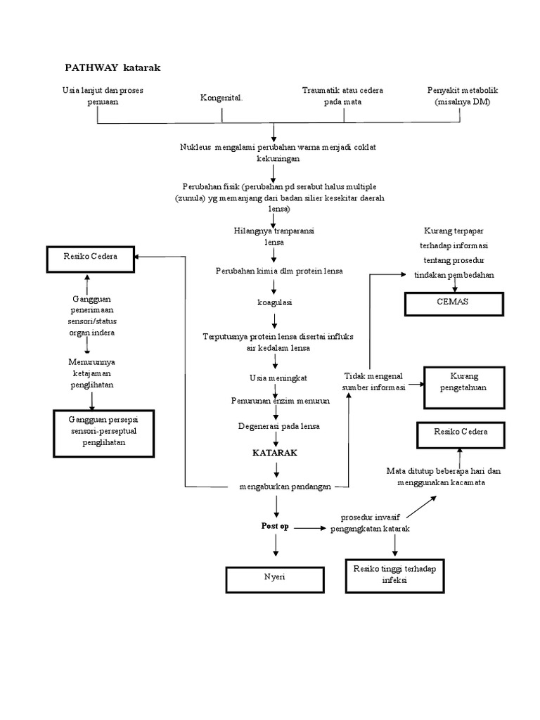 Pathway Katarak | PDF