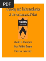 Understanding SIJ: Form and Force Closure | PDF | Pelvis | Vertebral Column