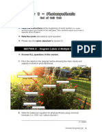 Lab Report - Phloem & Xylem | PDF | Plant Stem | Tissue (Biology)