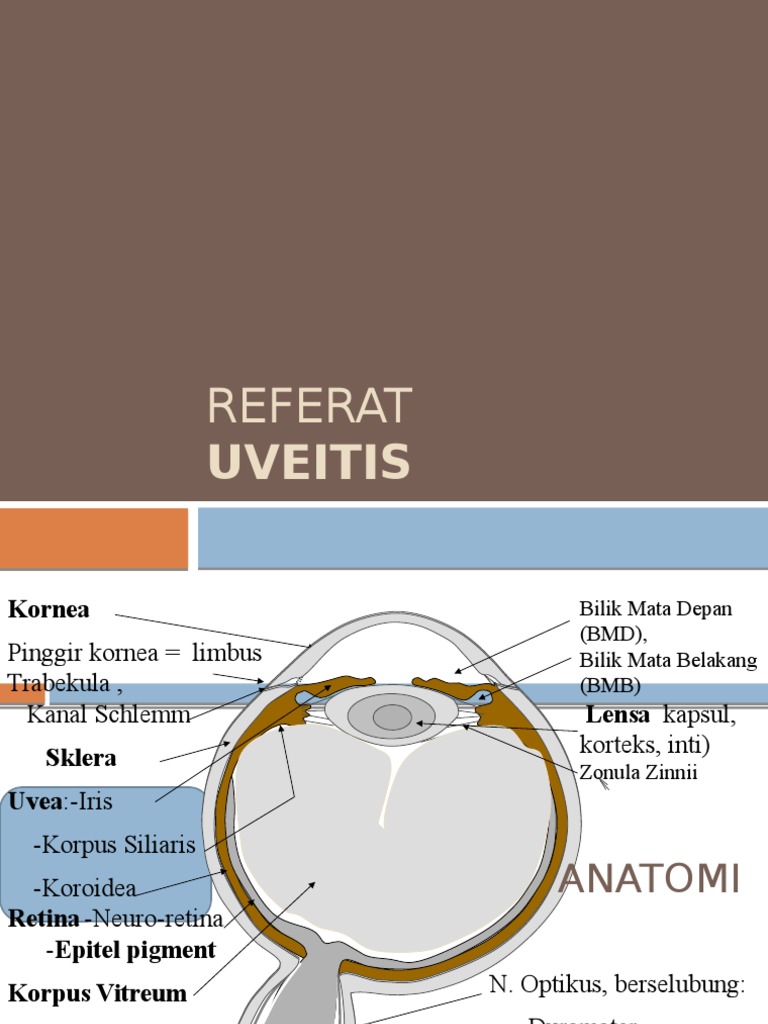 Uveitis: Definisi, Gejala, dan Pengobatan | PDF