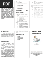 Leaflet Hiperemesis Gravidarum | PDF