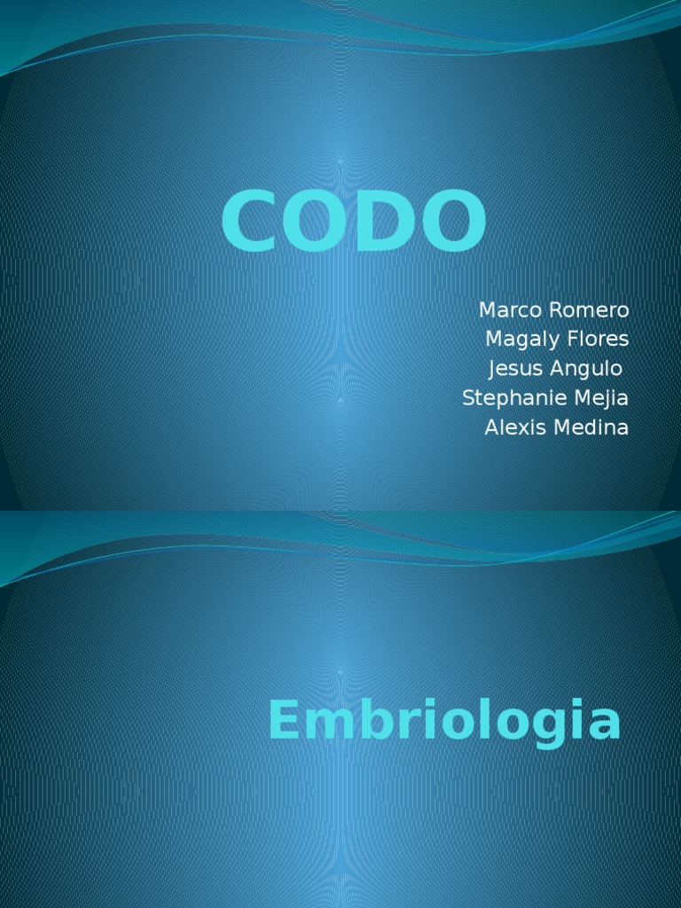 CODO | PDF | Codo | Extremidades (anatomía)