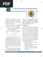Amoeba Sisters - Plants-Diversity, Structure & Adaptations Video | PDF ...