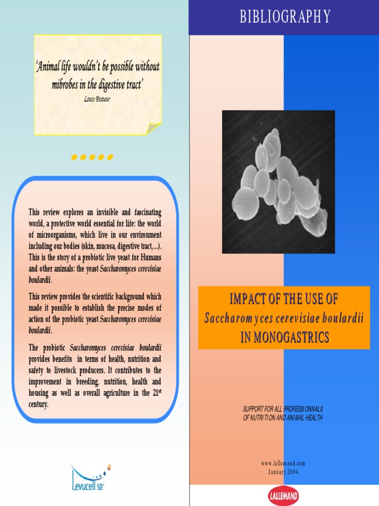 Levucell SB Research Bibliography | PDF | Gut Flora | Antibiotics