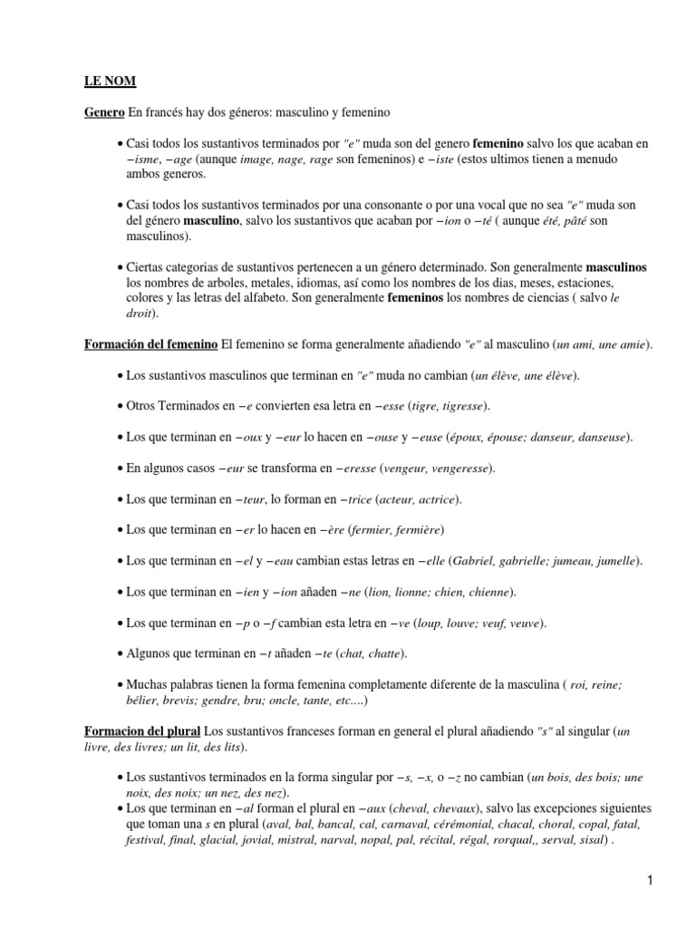 Gramatica Frances | PDF