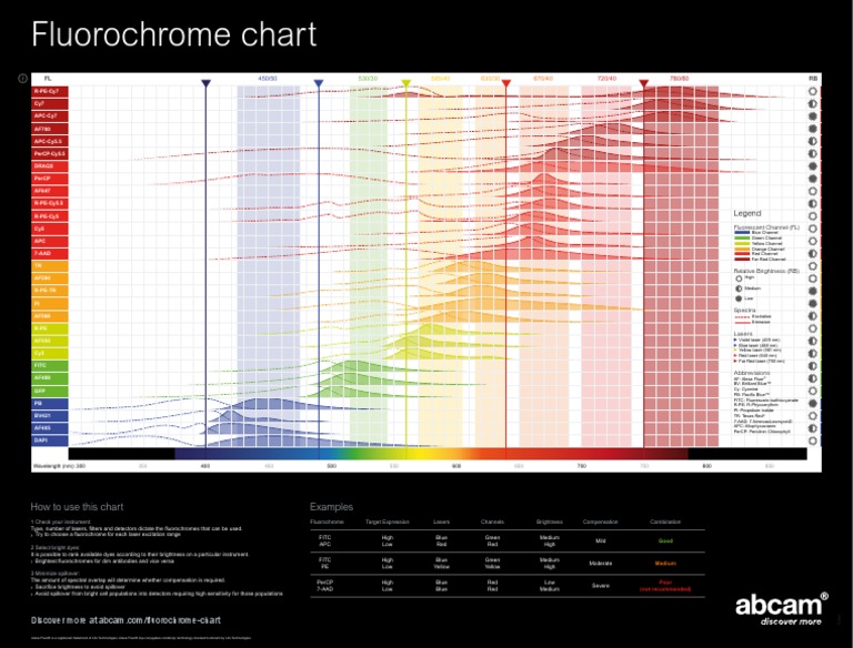Abcam Fluorochrome Chart | PDF | Fluorophore | Fluorescence
