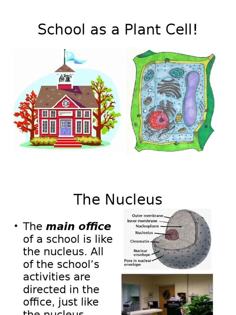 Cell Analogy Project Bio: Cell Analogy Zannie's Science Page