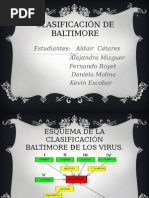 Clasificacion de Baltimore | PDF | Virus | Rna