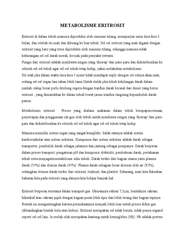 Metabolisme Eritrosit | PDF