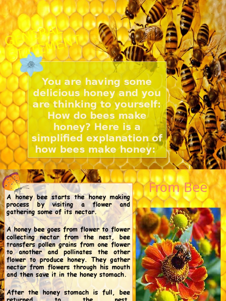How Honey Is Made (Text Procedure) | PDF | Beekeeping | Honey