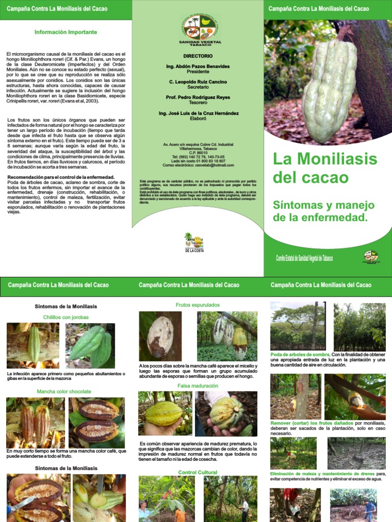 Moniliasis | PDF | Candidiasis | Enfermedades animales