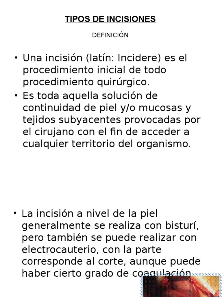 Tipos De Incisiones Pdf Peritoneo Abdomen