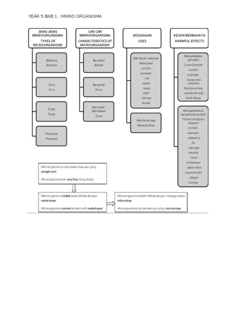 Year 5 Microorganisms | PDF | Sports & Recreation | Games & Activities