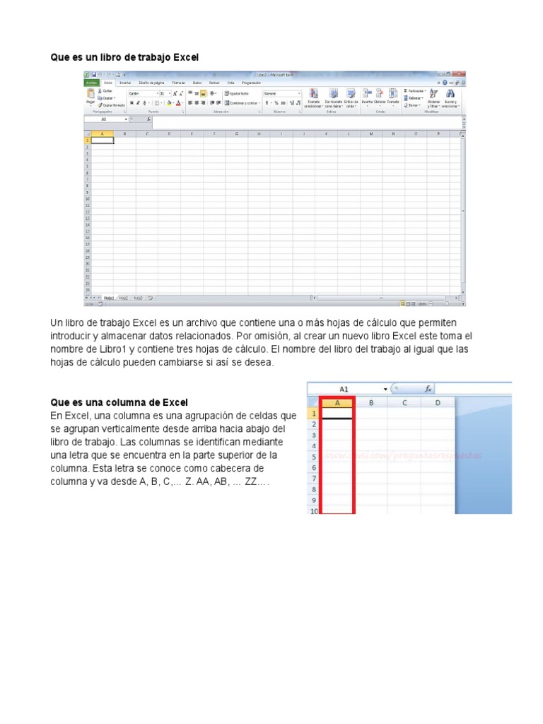 Los conceptos básicos de Excel: hojas de cálculo, celdas, filas, columnas y tipos de datos | PDF ...