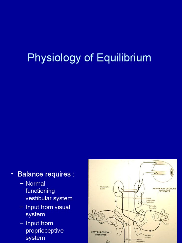 Physiology of Equilibrium | Vestibular System | Cerebellum