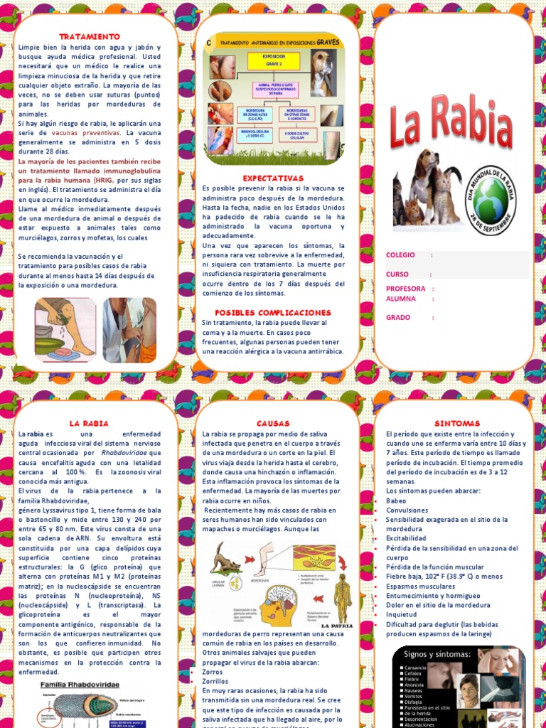 La Rabia PDF